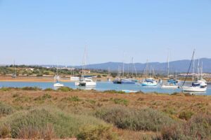 Alvor boardwalk - a detailed walking guide - The Algarve Family