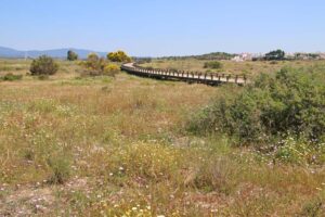 Alvor boardwalk - a detailed walking guide - The Algarve Family
