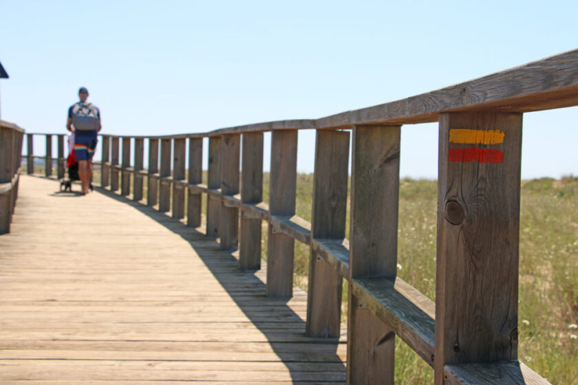 Alvor boardwalk - a detailed walking guide - The Algarve Family