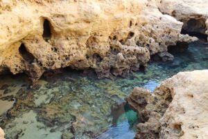 Algar Seco - our best tips for visiting the caves - The Algarve Family