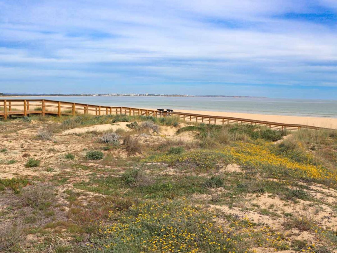 Meia Praia boardwalk - a perfect beach stroll in Lagos - The Algarve Family